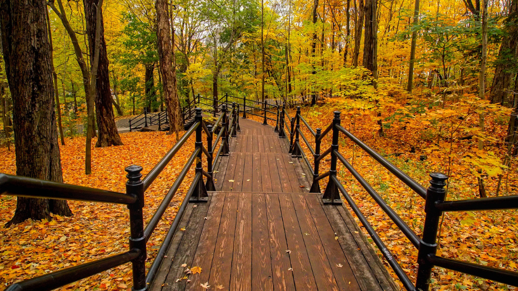 Happy Autumn + New Moon Endeavors – Magdalene Journal